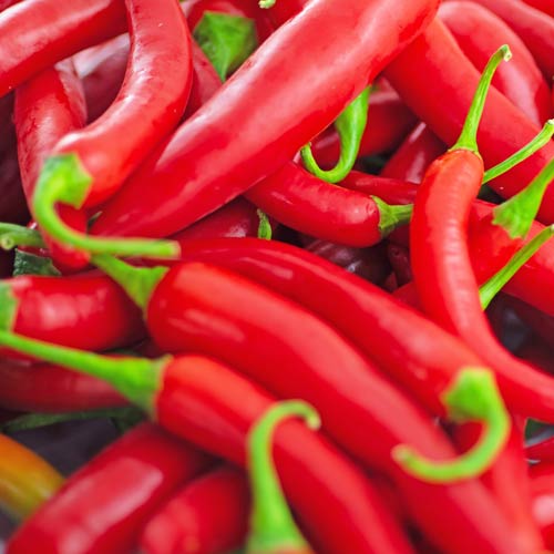 Fresh cayenne pepper store