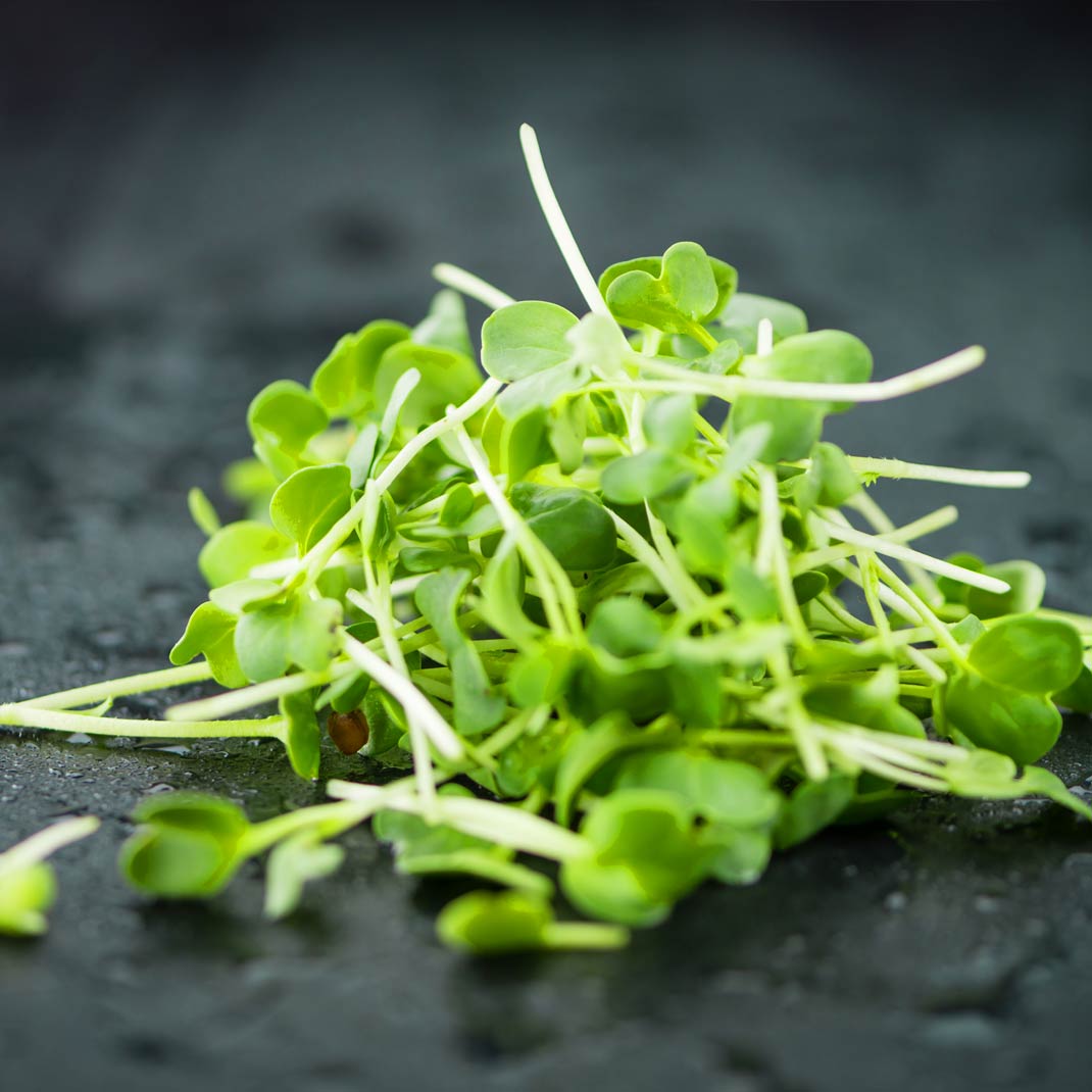 Healthy, healthier - watercress - bee-seeds.eu