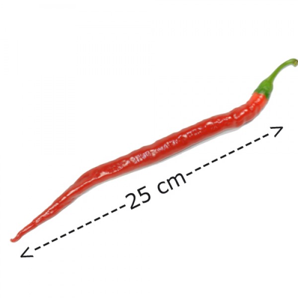 Order Joe?s Long Cayenne Chili Seeds online at chili-shop24.de