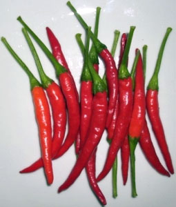 Thai Ladyfinger chili seeds - buy online at chili-shop24.com