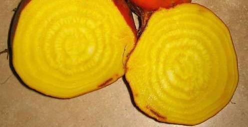 Beetroot Burpees Golden Seeds - buy online at bee-seeds.eu